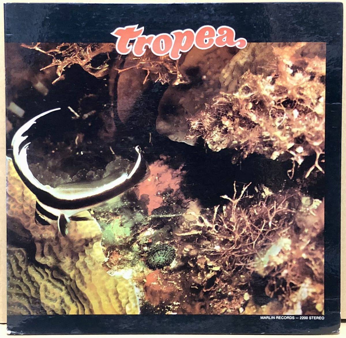 In Search Of Old Gems: John Tropea – Tropea – In Search Of Media